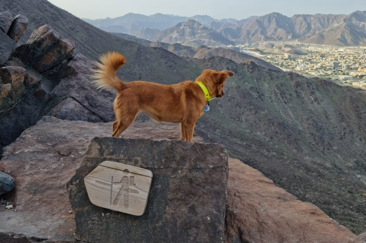 Al Rabi Hiking Trail - PETWITHIT