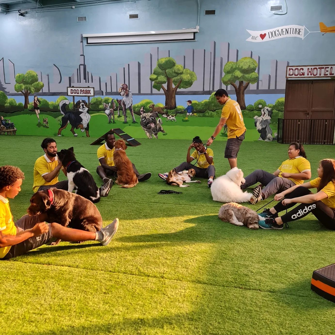 Dogventure HQ - PETWITHIT
