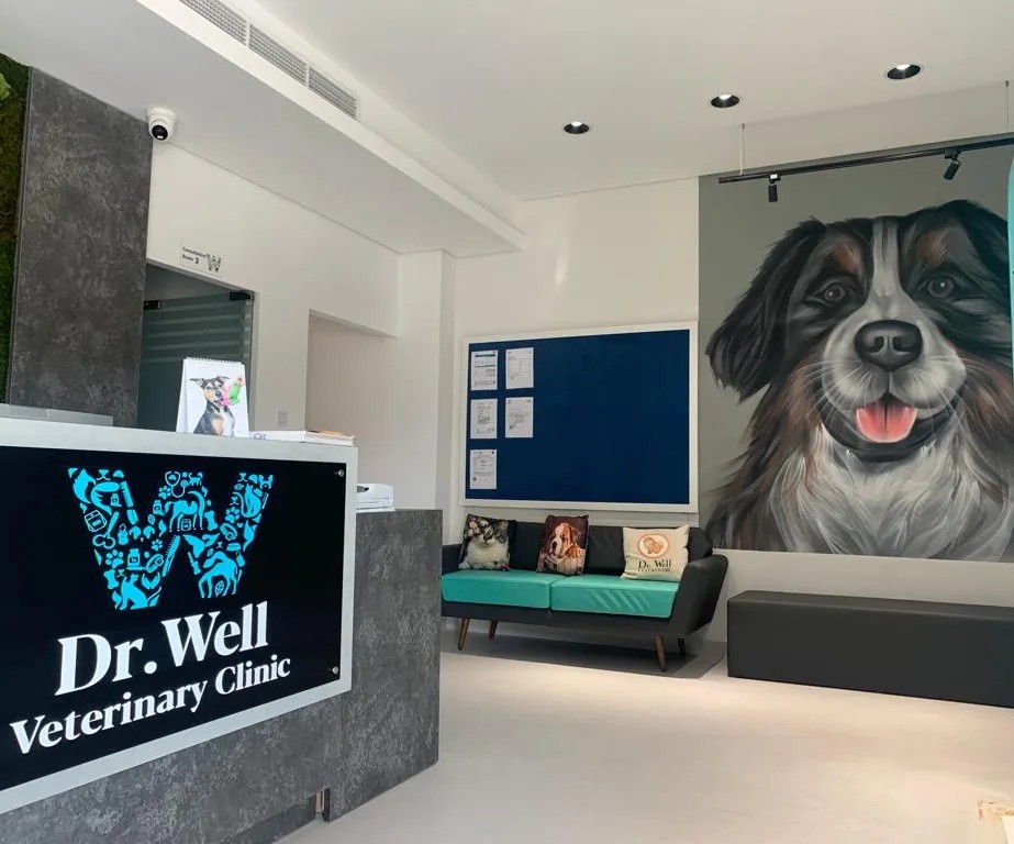 Dr Well Veterinary Clinic - PETWITHIT