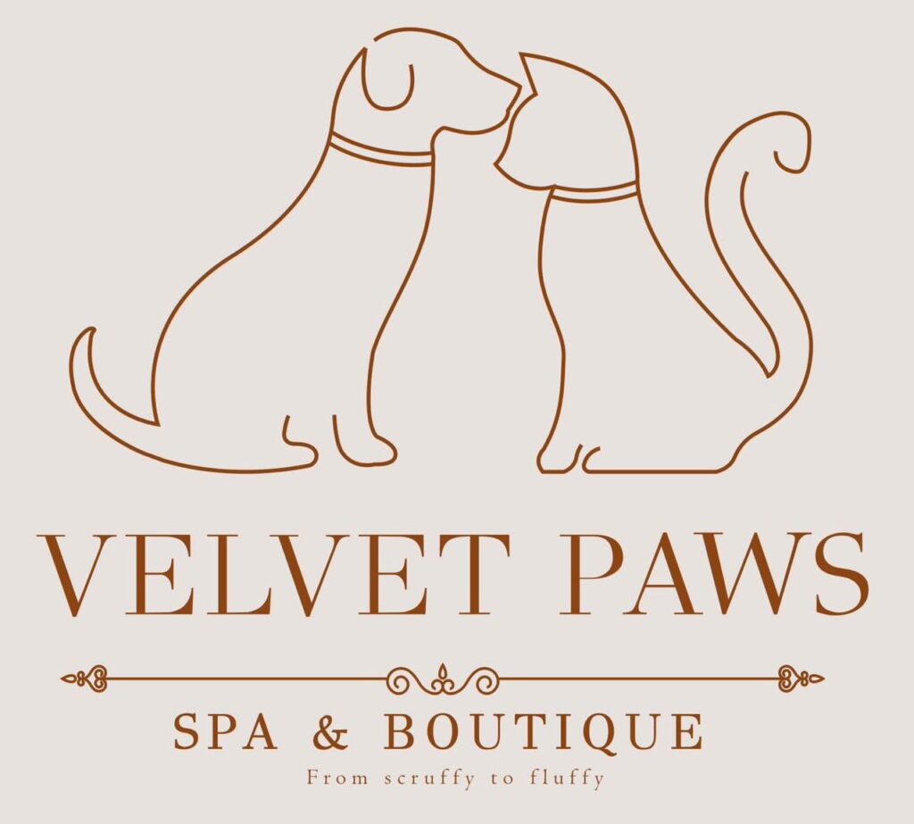 Velvet Paws - PETWITHIT
