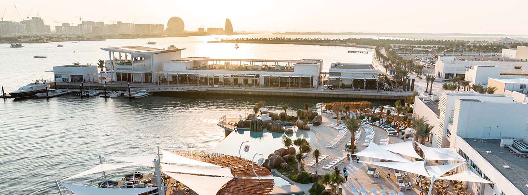 Yas Island: Abu Dhabi's Pet-Friendly Destination - PETWITHIT