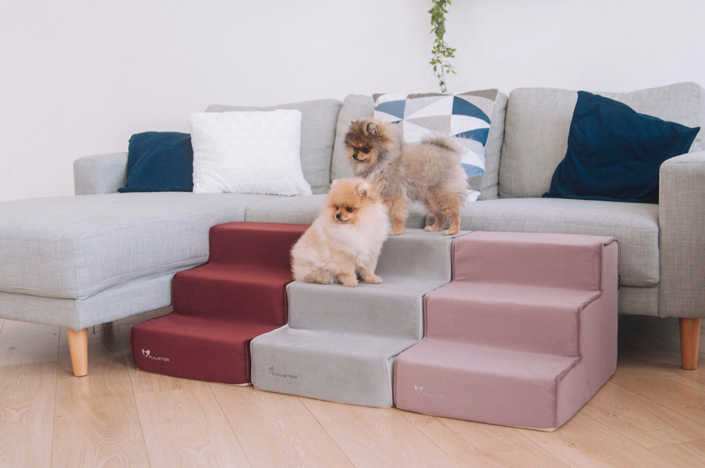 How to Teach Your Dog to Use Dog Steps - PETWITHIT
