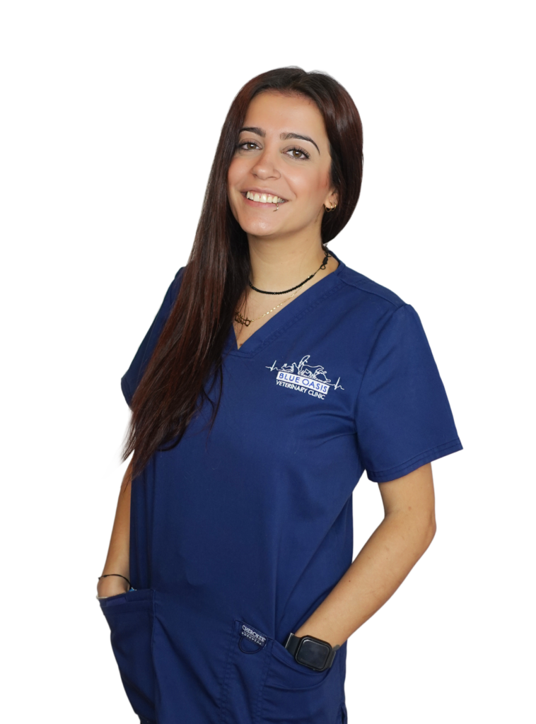 Dubai Vet Shares tips on how to Protect Your Pets from Summer Parasites ...