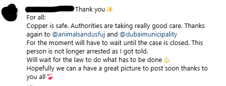 Dubai Police Arrest Man After Disturbing Dog Abuse Video Goes Viral - PETWITHIT