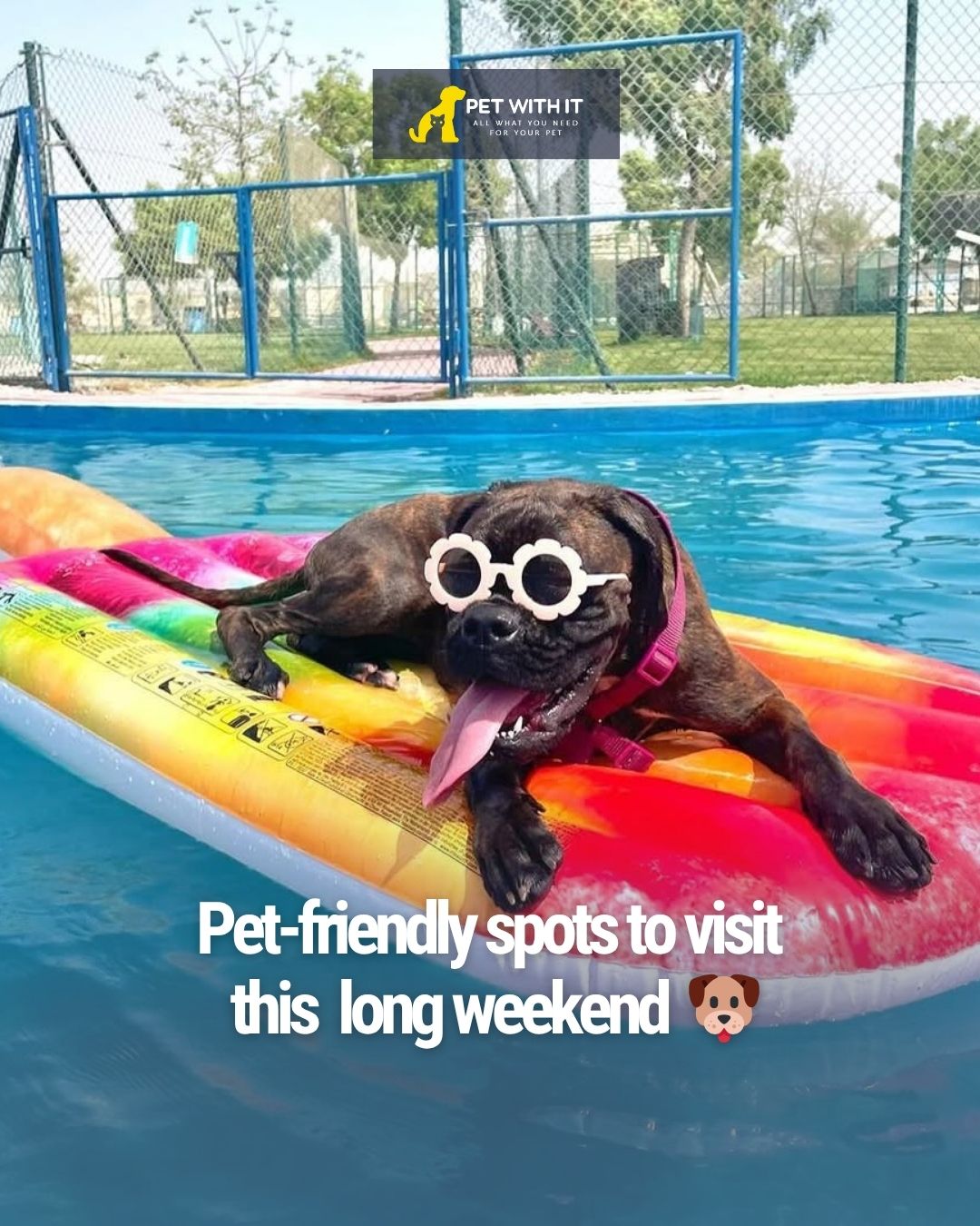 Pet-Friendly Long Weekend Getaways in the UAE (2026 Guide) - PETWITHIT